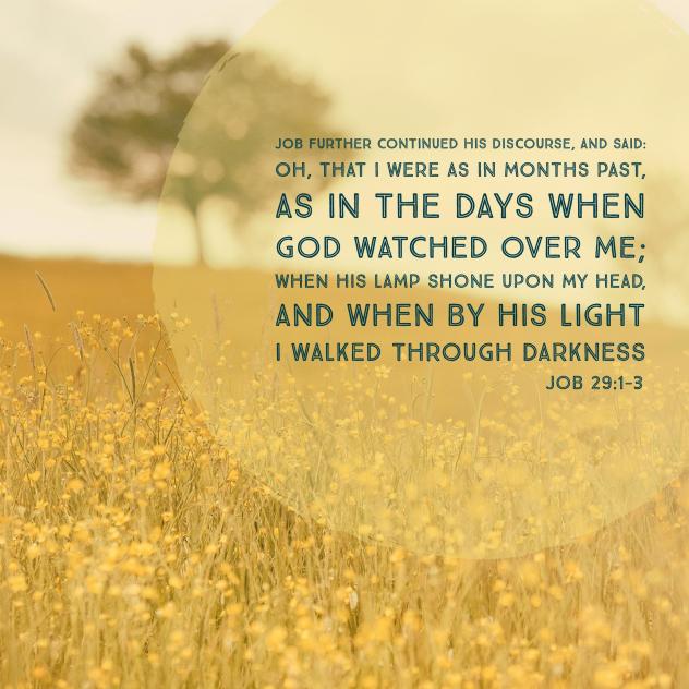 Job 31 – The Words of Job are Ended | Study the Bible with me!