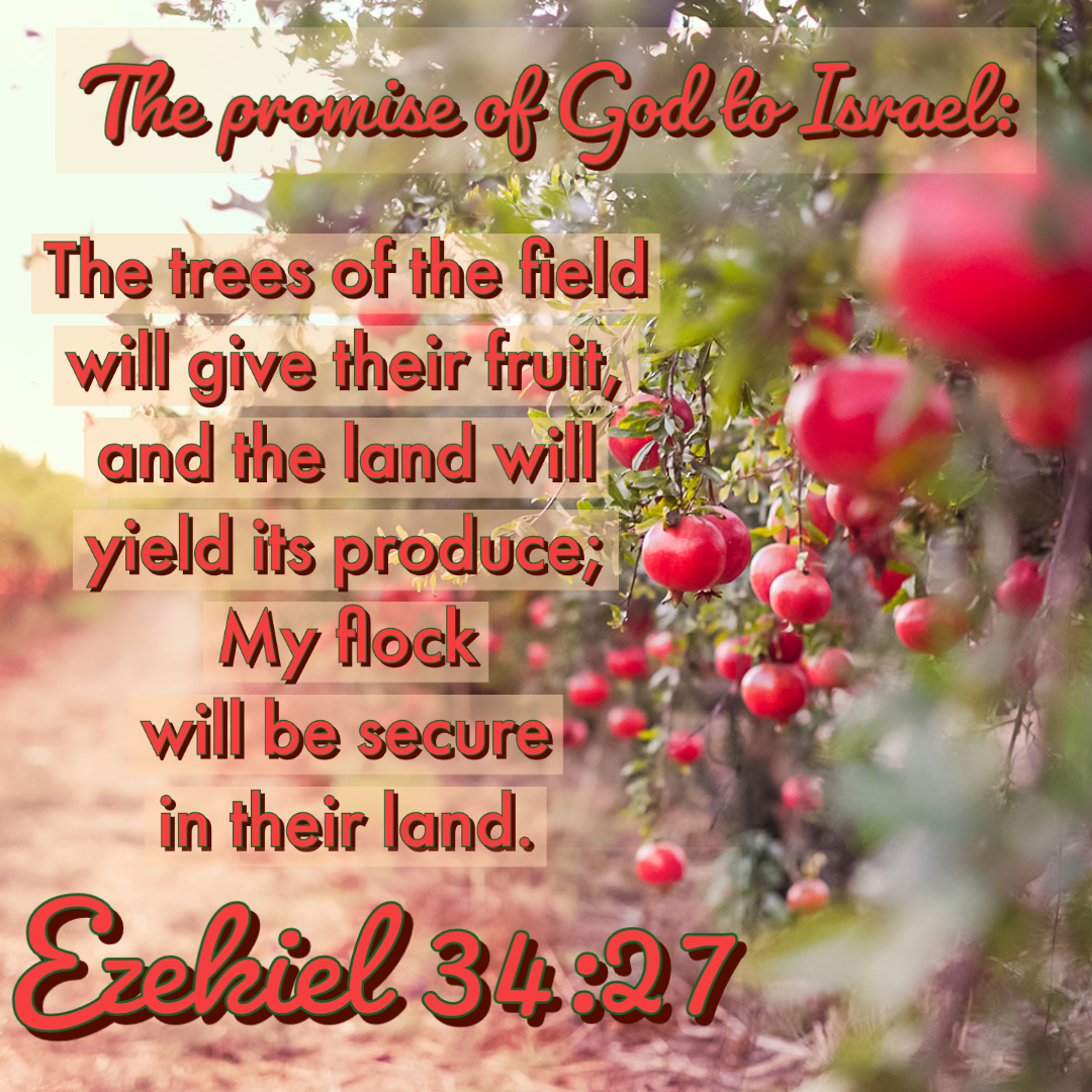 Ezekiel 34 – Messianic Kingdom Blessings | Study the Bible with me!