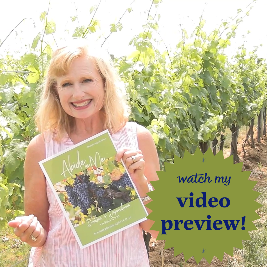 Video Preview of Abide in Me – John 14-16 | Study the Bible with me!