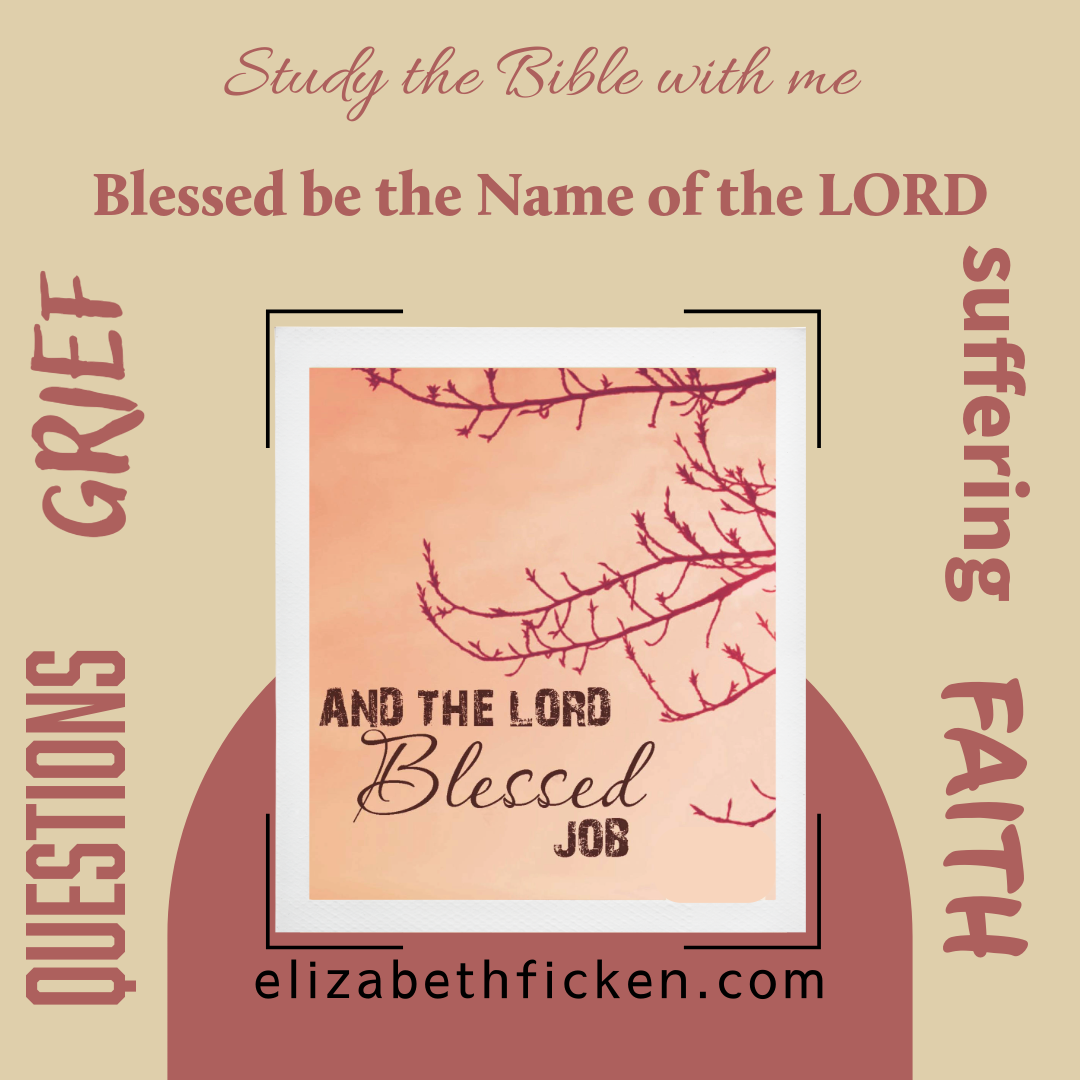 The Purpose of the book of Job | Study the Bible with me!