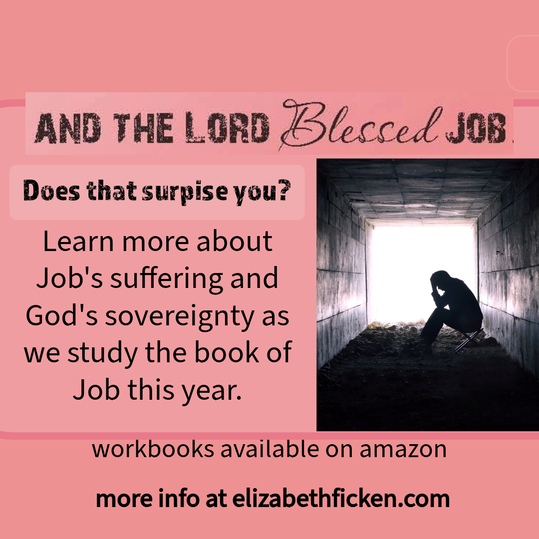 Study the book of Job with me! | Study the Bible with me!