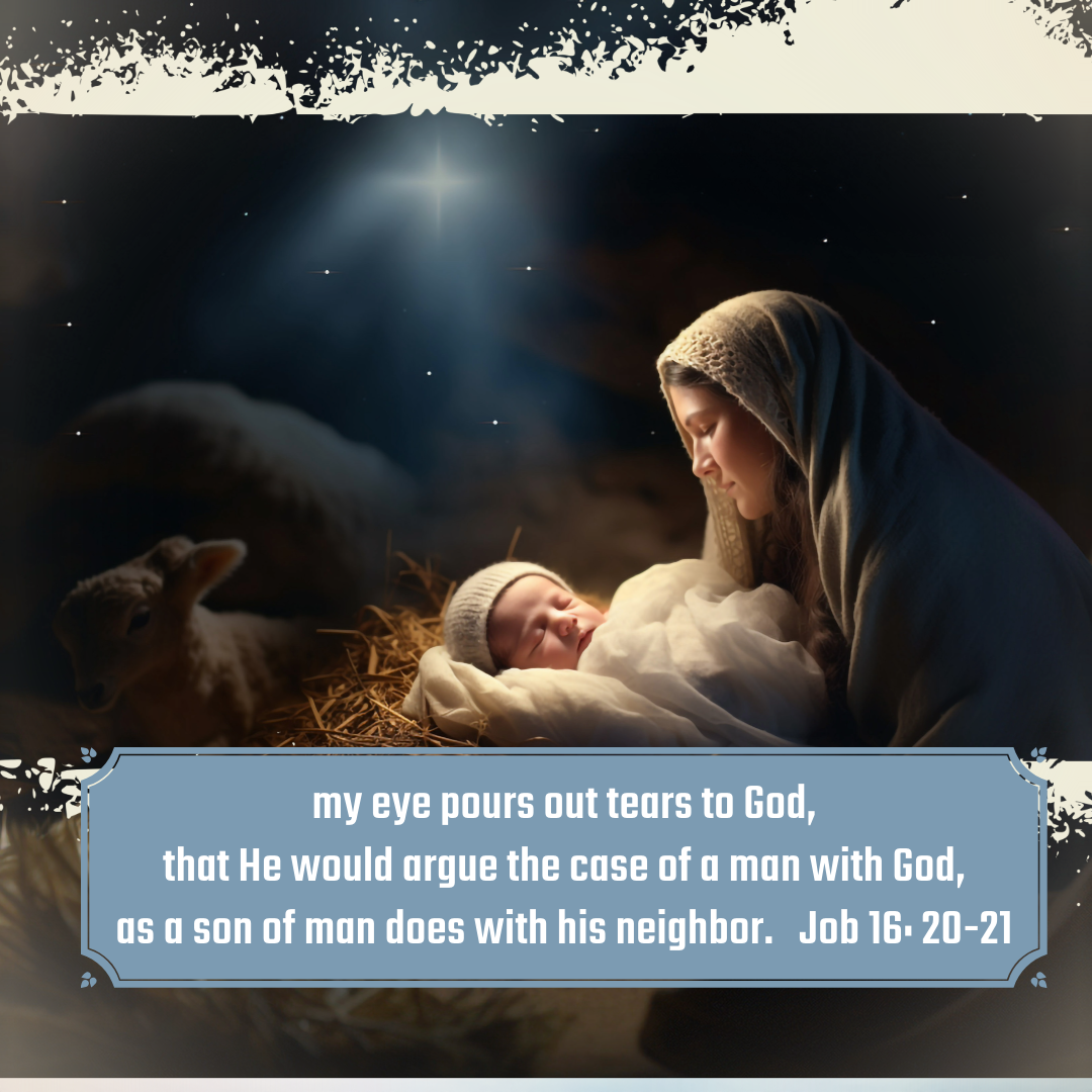 Job 16 – 17: What did Job need? | Study the Bible with me!