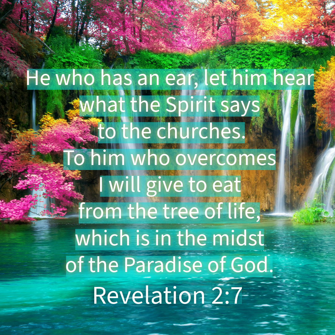Revelation 2:1-3:22 – Rewards for Overcomers! | Study the Bible with me!