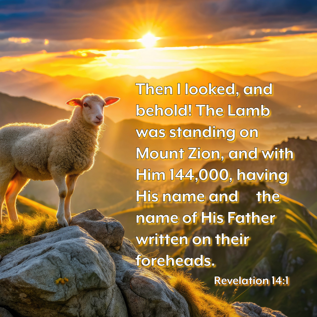 Revelation 14: The Lamb of God | Study the Bible with me!